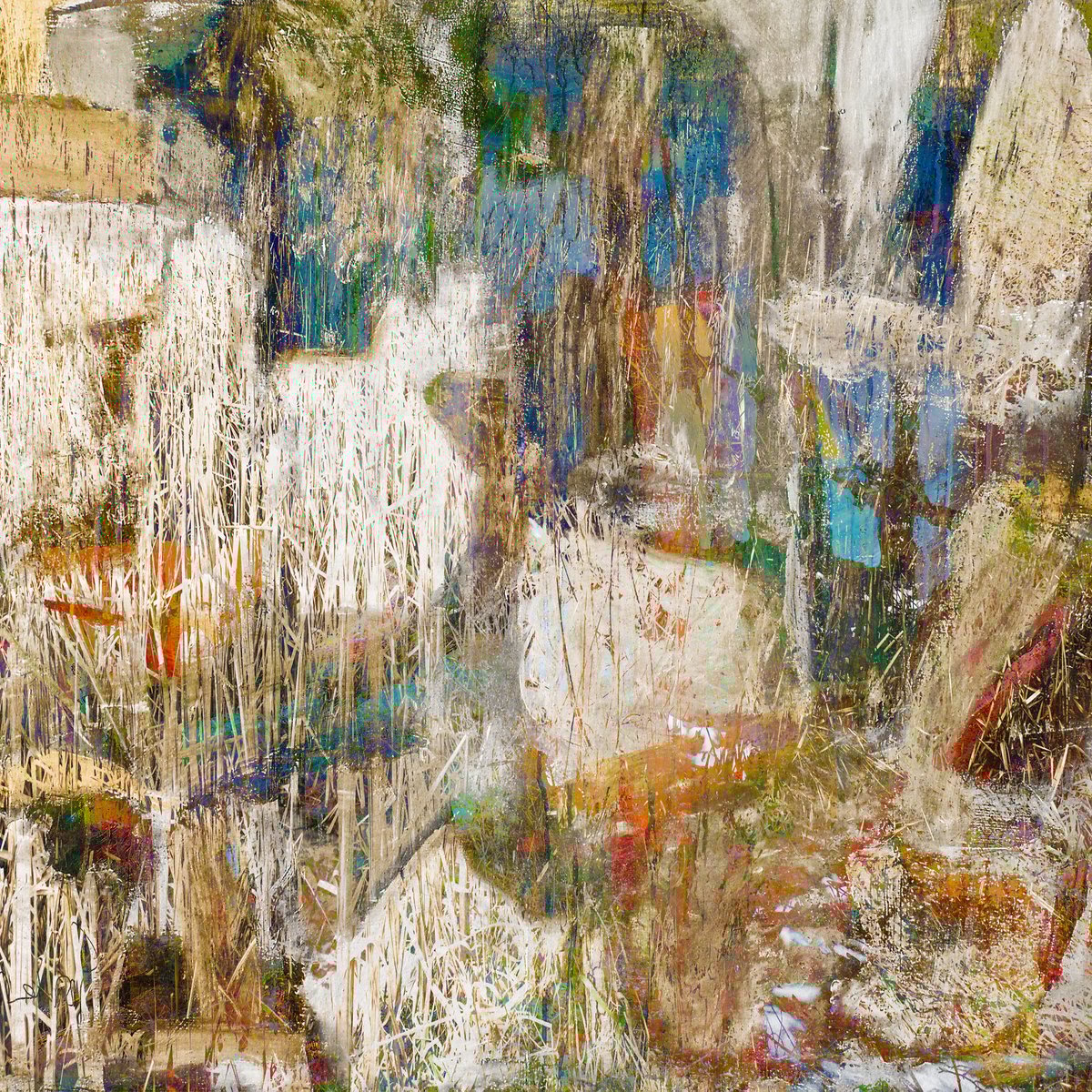 "Abstract Nature" by geert lemmers FPAP (Photographer) on Zealous