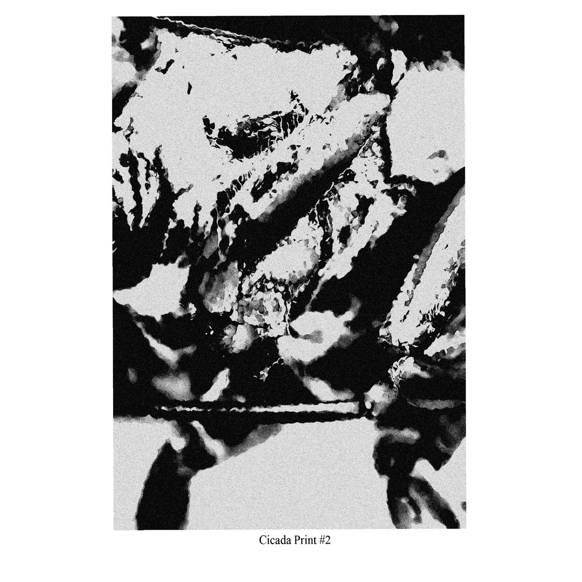 "Cicada Series" by Emma Sorrell (Interdisciplinary Artist) on Zealous