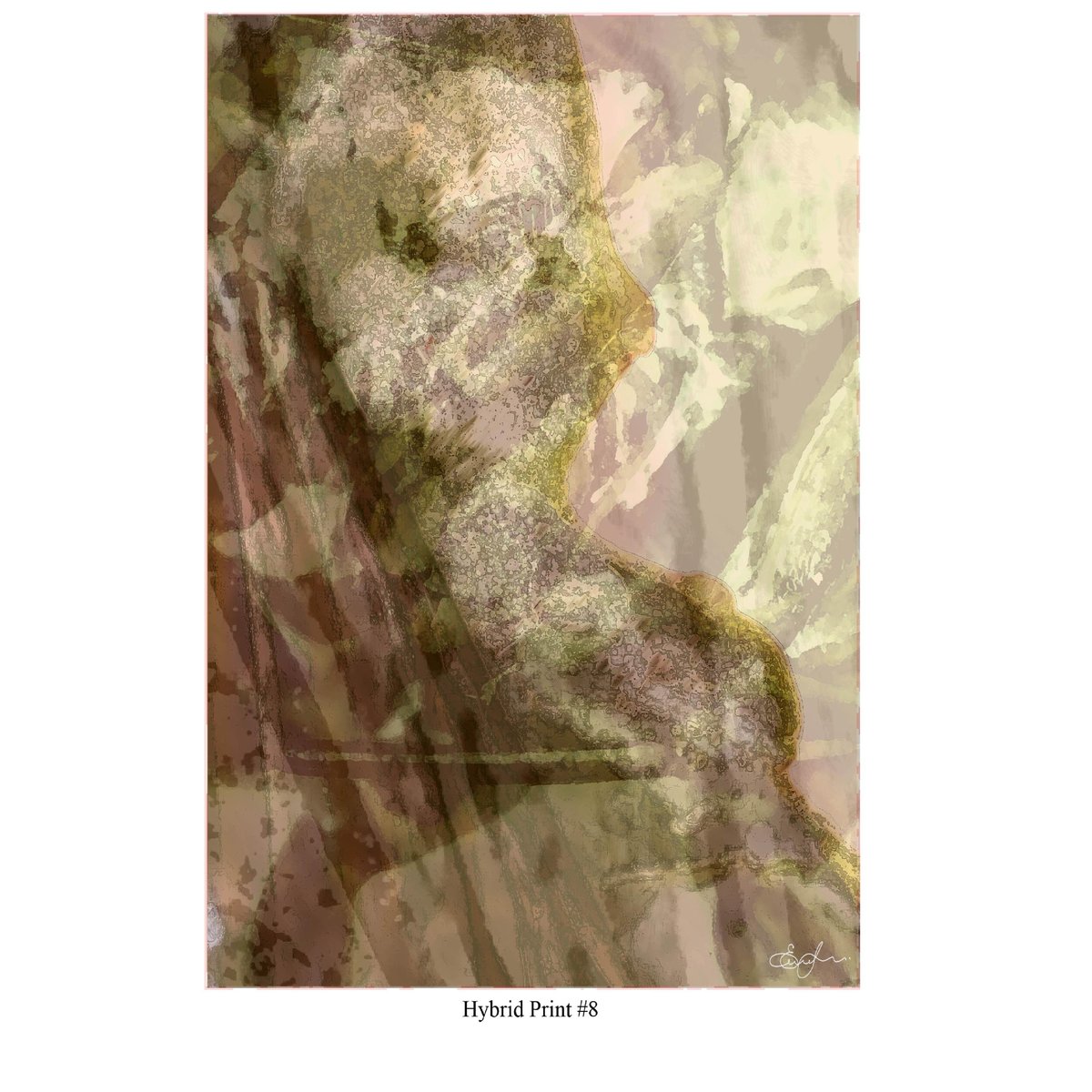 "Hybrid Print Series" by Emma Sorrell (Interdisciplinary Artist) on Zealous