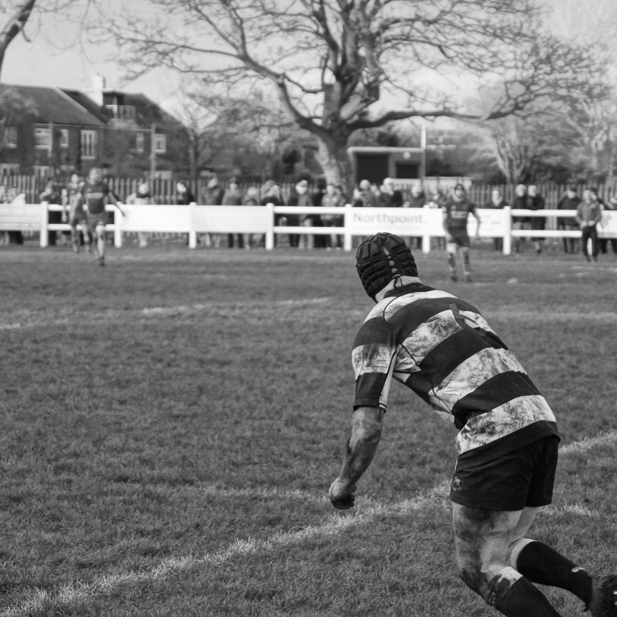 "Entries for Rugby Photographer of the Year 2023" by Chris Brown ...