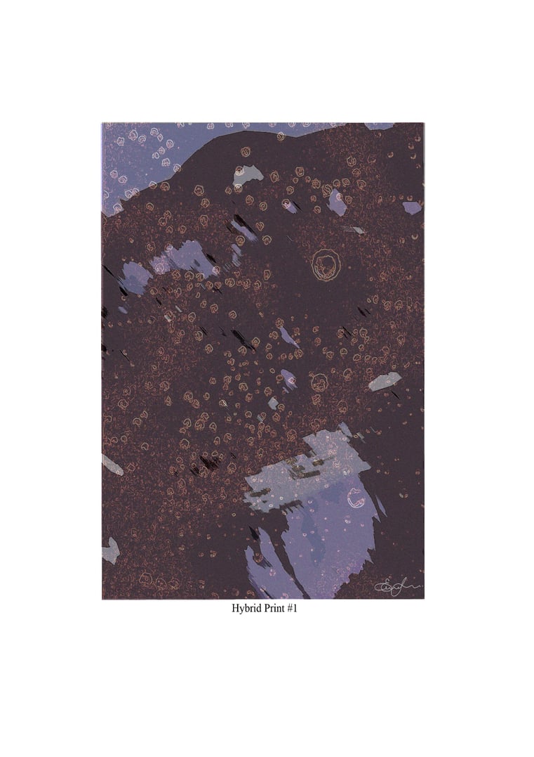 "Hybrid Print Series" by Emma Sorrell (Interdisciplinary Artist) on Zealous